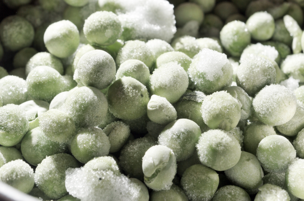The cryogenic freezer: installation and design specifications