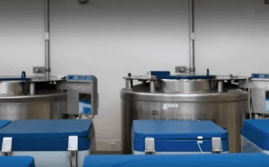 The cryogenic storage dewar: features and applications