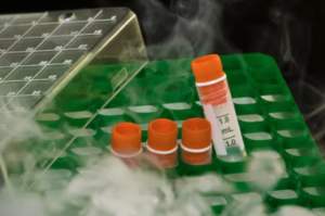 Azote liquide : caractéristiques, production et application - Demaco ...