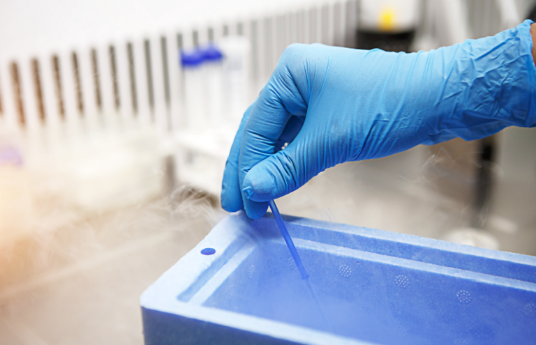 Utilisations et applications de l'azote liquide